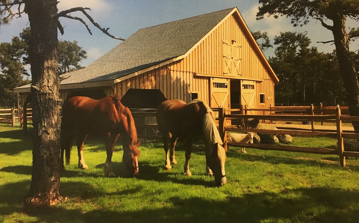 High Country - Modular Horse Barn - deliveredbarnsandsheds.com